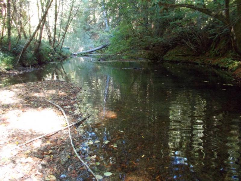 Restoration Approaches to Instream Large Wood Augmentation | Salmonid ...