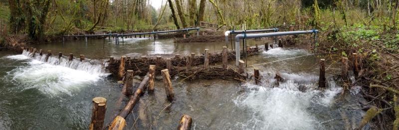 Process-based Restoration & Effectiveness Monitoring in McGarvey Creek ...