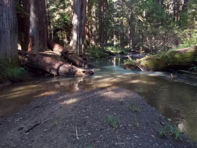 Restoration Approaches to Instream Large Wood Augmentation | Salmonid ...