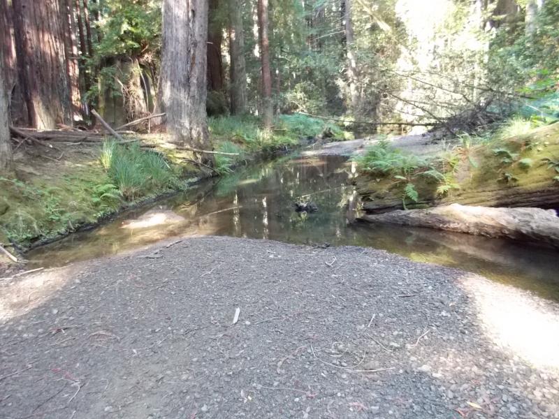 Restoration Approaches to Instream Large Wood Augmentation | Salmonid ...