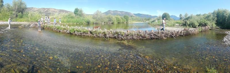 Low-Tech Process-Based Restoration with Beaver and Wood: Jump-Starting ...