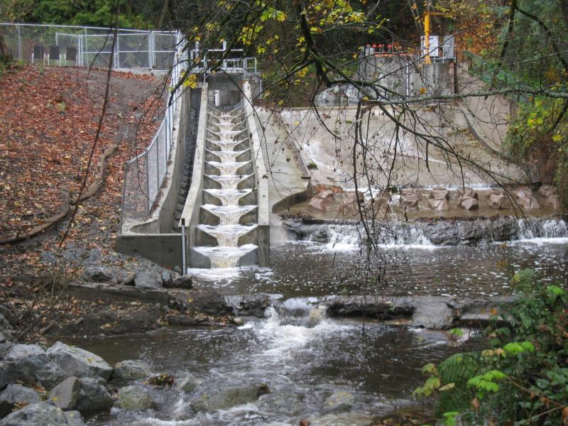 Fish Passage Design for Road Crossings Workshop and Field Tour ...