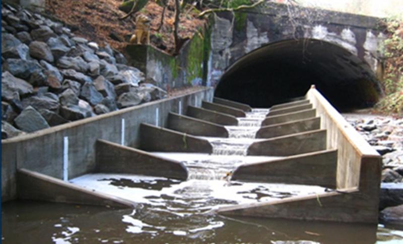 Fish Passage from Tidewater to the Sierra | Salmonid Restoration Federation