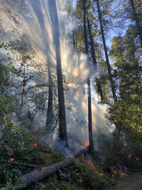 Healthy Fire, Healthy Fish: Fates Intertwined, Strategies Aligned ...