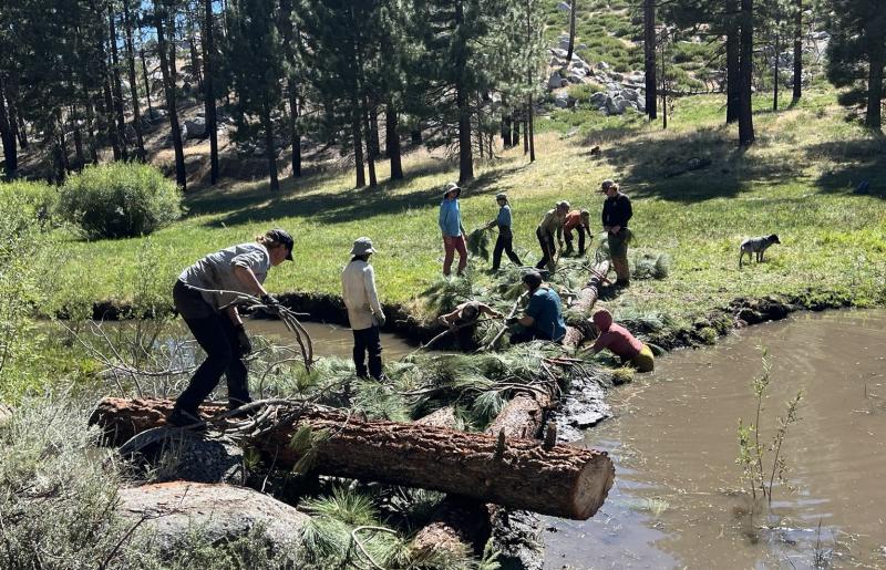 Landscape-Scale Process Based Restoration for Forests, Floodplains and ...