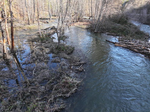 27th Annual Coho Confab | Salmonid Restoration Federation