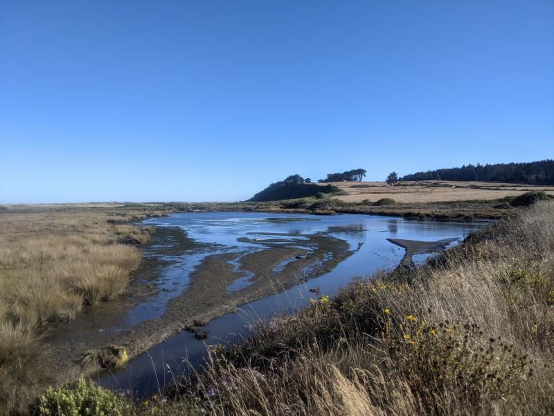 Changing Tides; Managing CDFW Lands for Marsh, Slough, and Dune Habitat ...