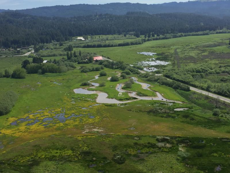 Restoring Tidal Wetlands: Inclusive, Process-based Restoration in ...