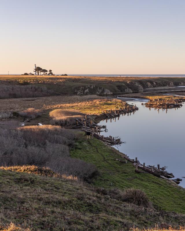 Large-scale Restoration in a Dynamic Estuary System: A Tour of the ...